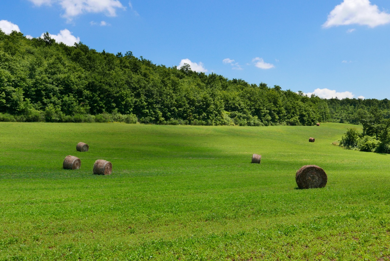 vf36 | Inflatable Kayaks & Packrafts